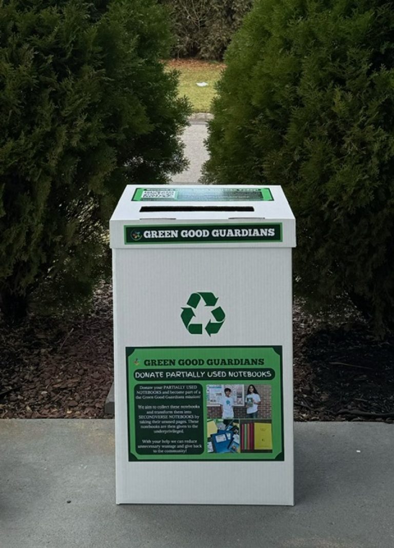 Siblings, Persis And Ryan, The Green Good Guardians Turn Used Notebooks ...